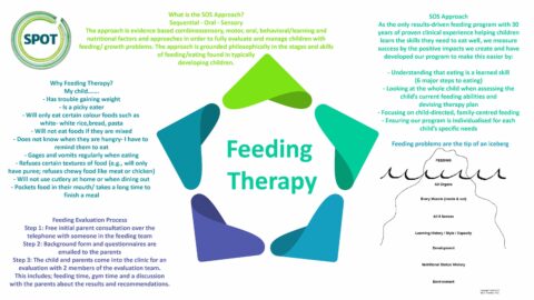 Feeding therapy - where to start? What is the SOS approach? - SPOT ...