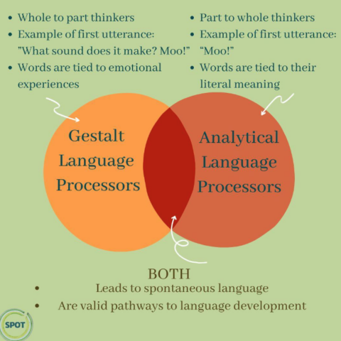 What are gestalt language processors? - SPOT Children's Therapy Centre
