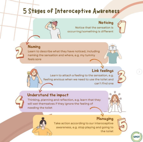 5 stages of Interoceptive Awareness - SPOT Children's Therapy Centre