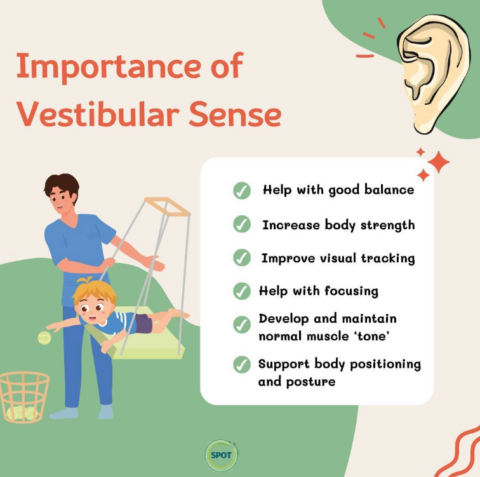 Importance of Vestibular Sense - SPOT Children's Therapy Centre