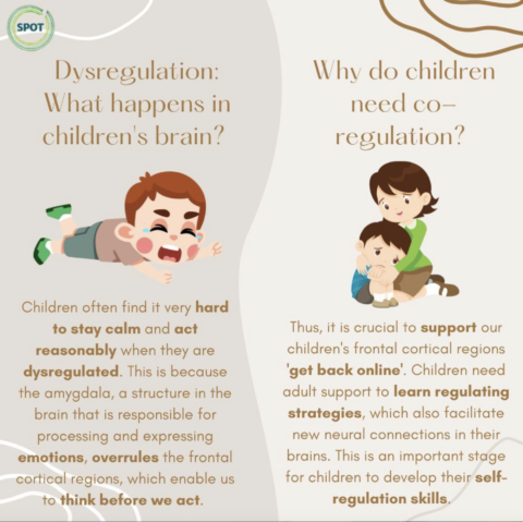 Dysregulation - what happens in a children's brain? - SPOT Children's ...