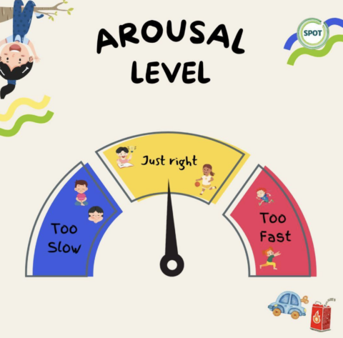 Arousal Level - SPOT Children's Therapy Centre